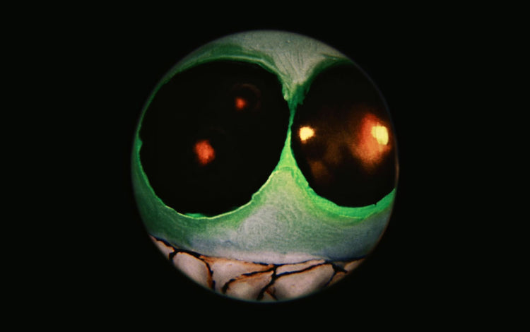 OSRINのキュレーションアイテム | HATCH（ハッチ）